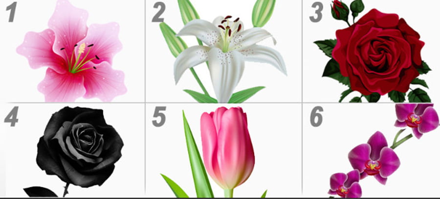 Tipul de floare care iti place spune multe despre personalitatea ta. Sa ...